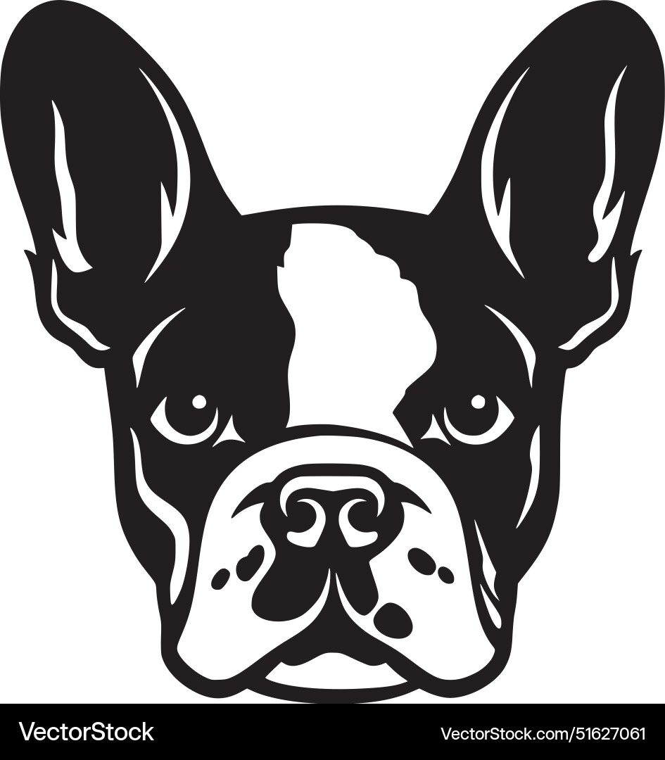 Boston terrier - high quality logo ideal Vector Image