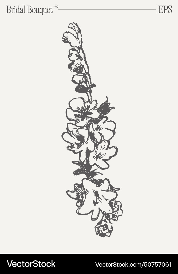 Bridal bouquet floral composition Royalty Free Vector Image