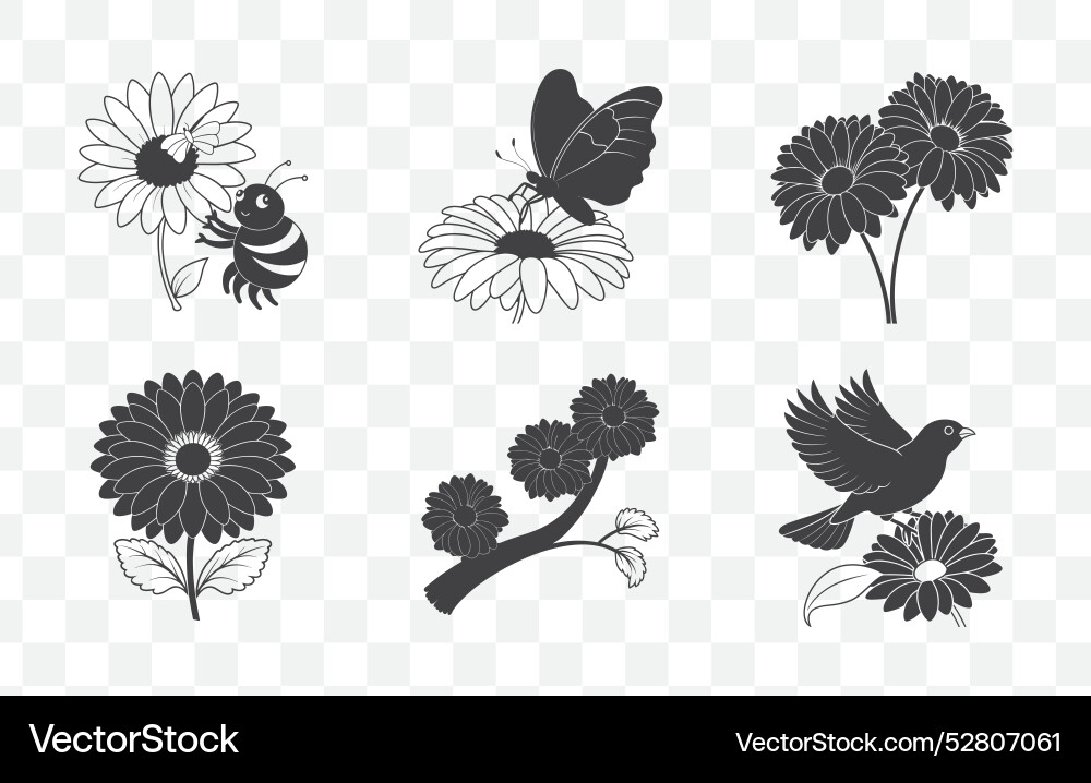 Print gerbera flower line art set beautiful Vector Image