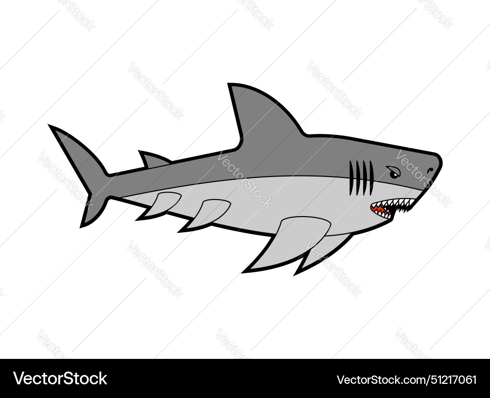 Shark isolated sea predator large predatory Vector Image