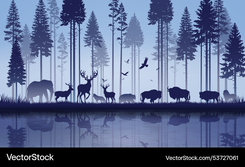 Wildlife harmony in the forest Royalty Free Vector Image
