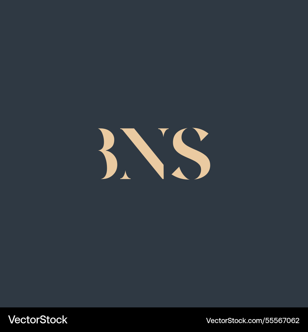 Bns abstract letter logo Royalty Free Vector Image
