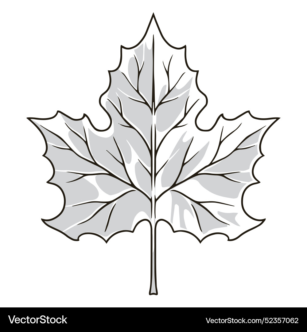 Maple leaf detailed sticker monochrome Royalty Free Vector