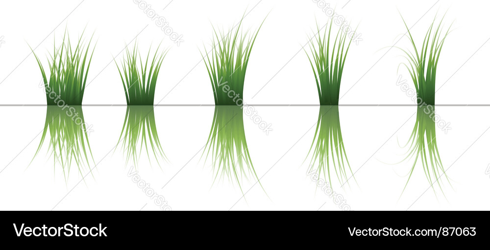 Grass on water Royalty Free Vector Image - VectorStock