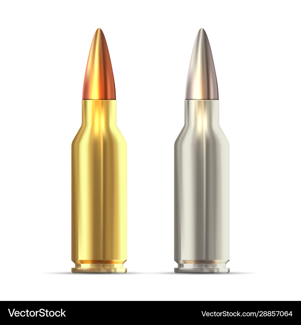 Realistic rifle bullets islated on white Vector Image