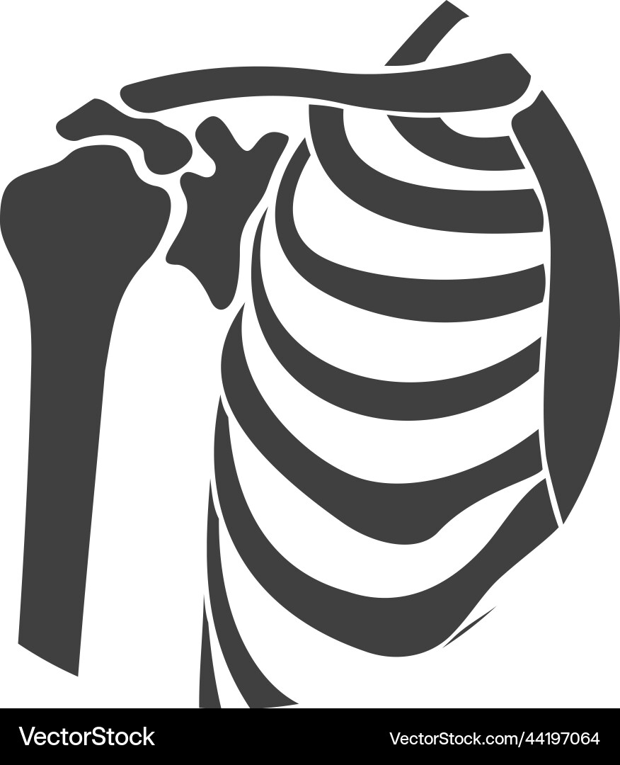 Shoulder bone joint black icon hand structure Vector Image