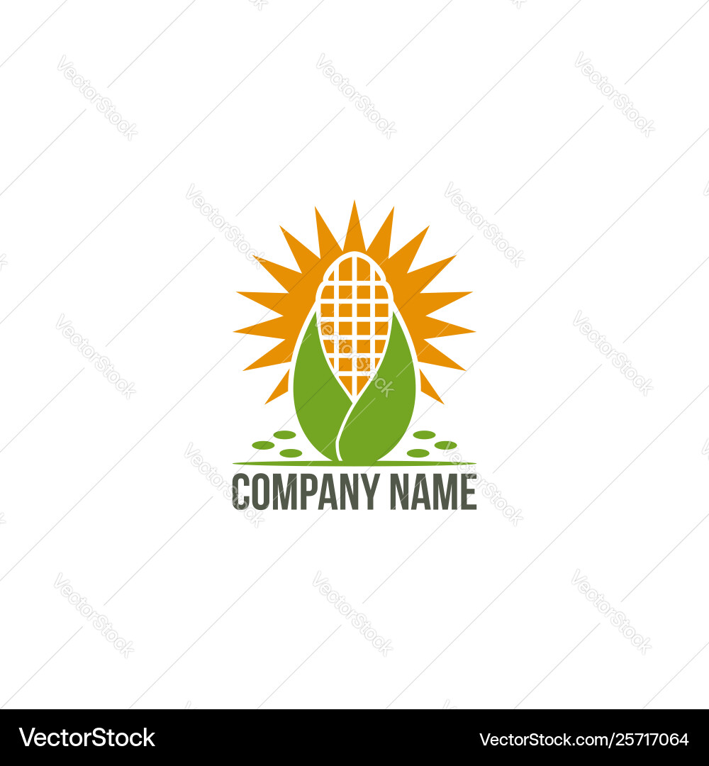 Sun corn logo Royalty Free Vector Image - VectorStock
