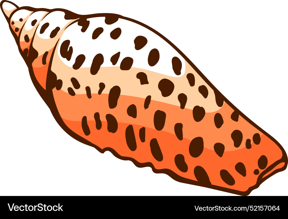 Underwater tropical shell sea ocean cartoon Vector Image