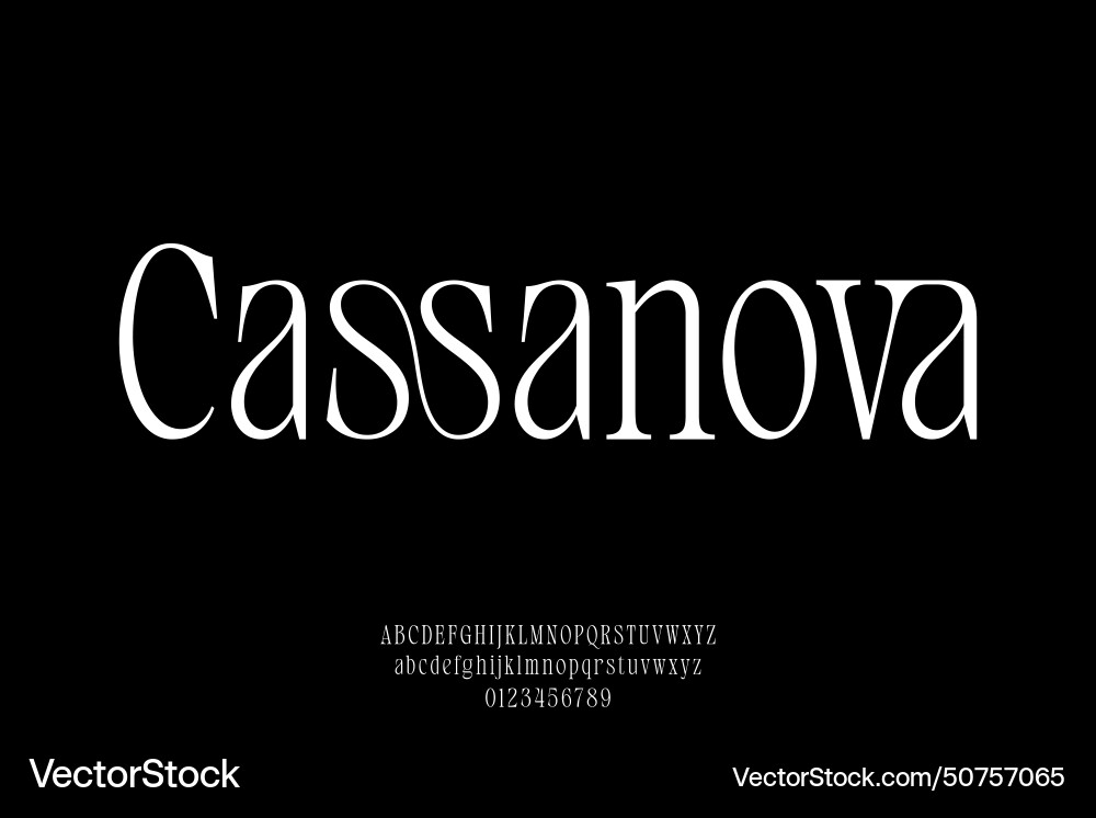 Elegant attractive serif alphabet display font Vector Image Elegant attractive serif alphabet display font Vector Image