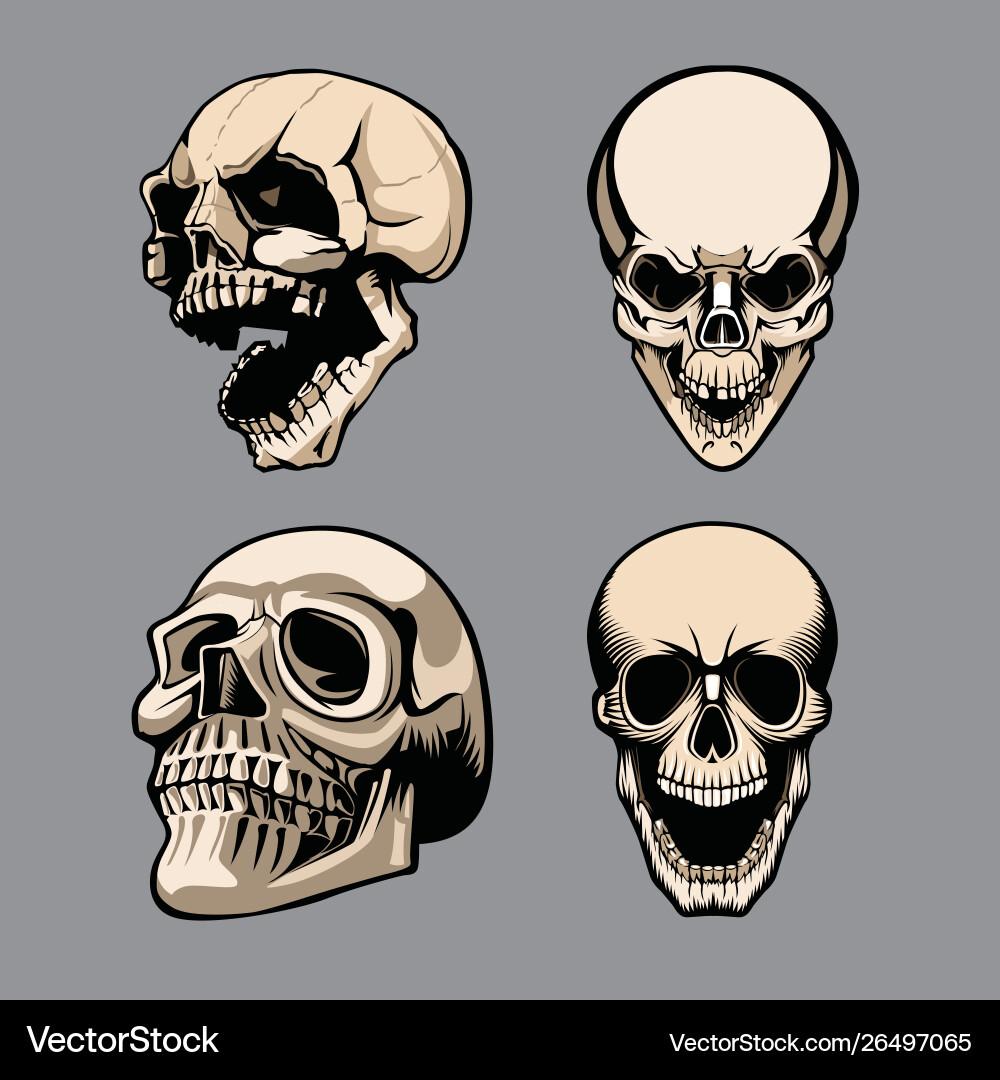 Skulls Vector Images (over 250,000)