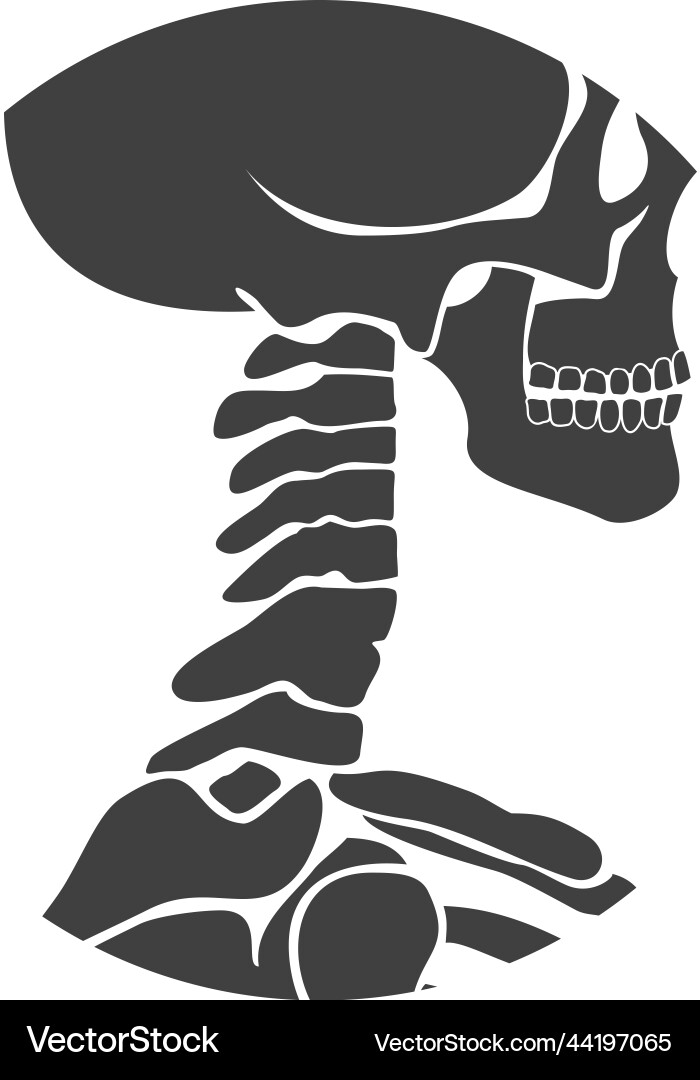 Human neck bone structure anatomy black icon Vector Image