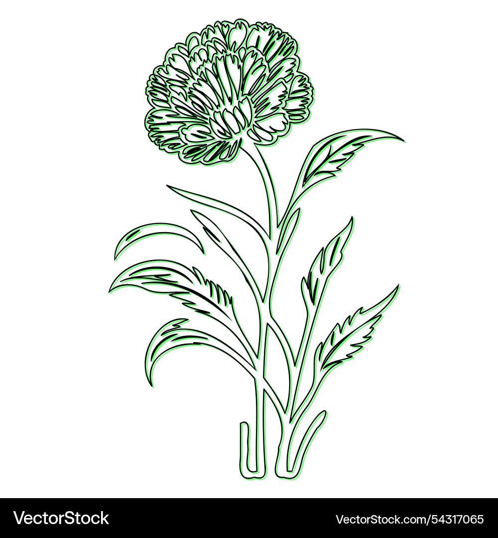 Line art flower Royalty Free Vector Image - VectorStock