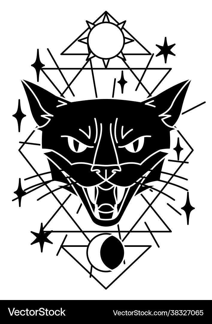 Mystic Cat Alchemy Royalty Free Vector Image - VectorStock