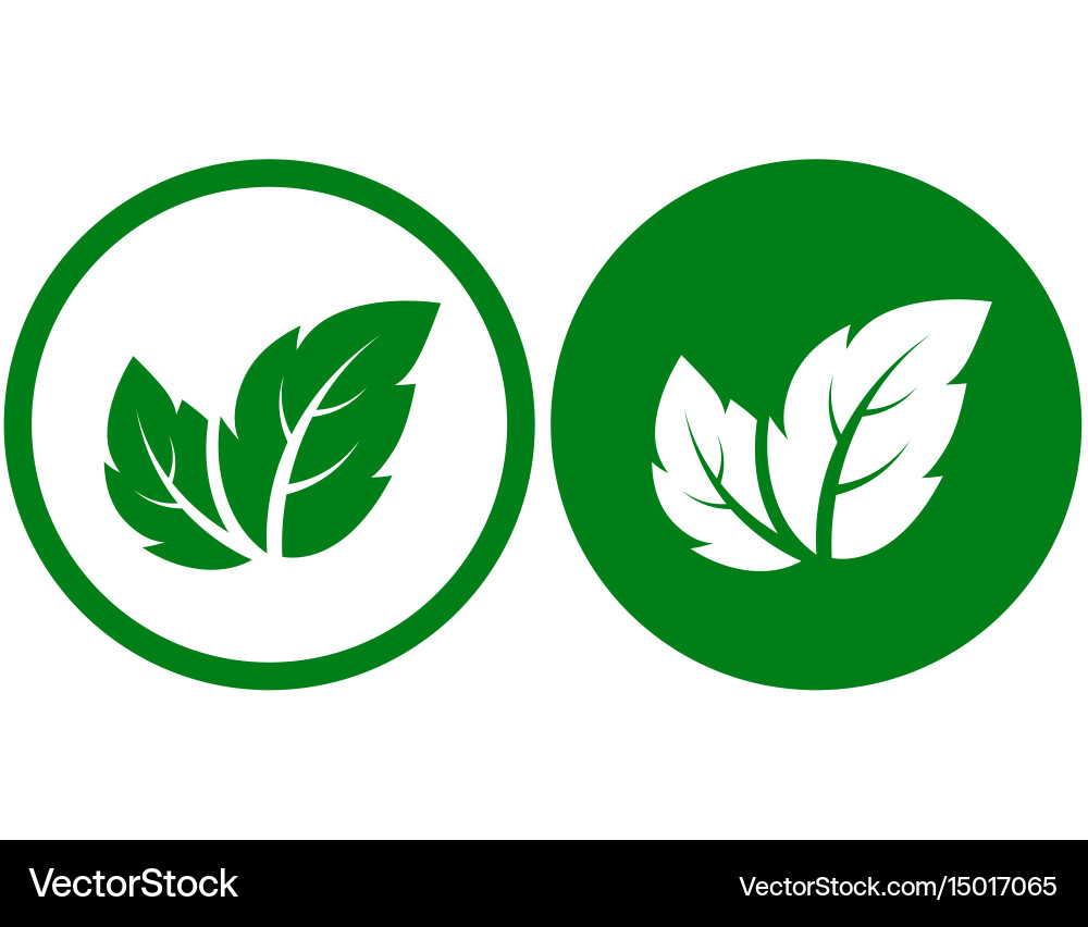 Sign with leaves Royalty Free Vector Image - VectorStock