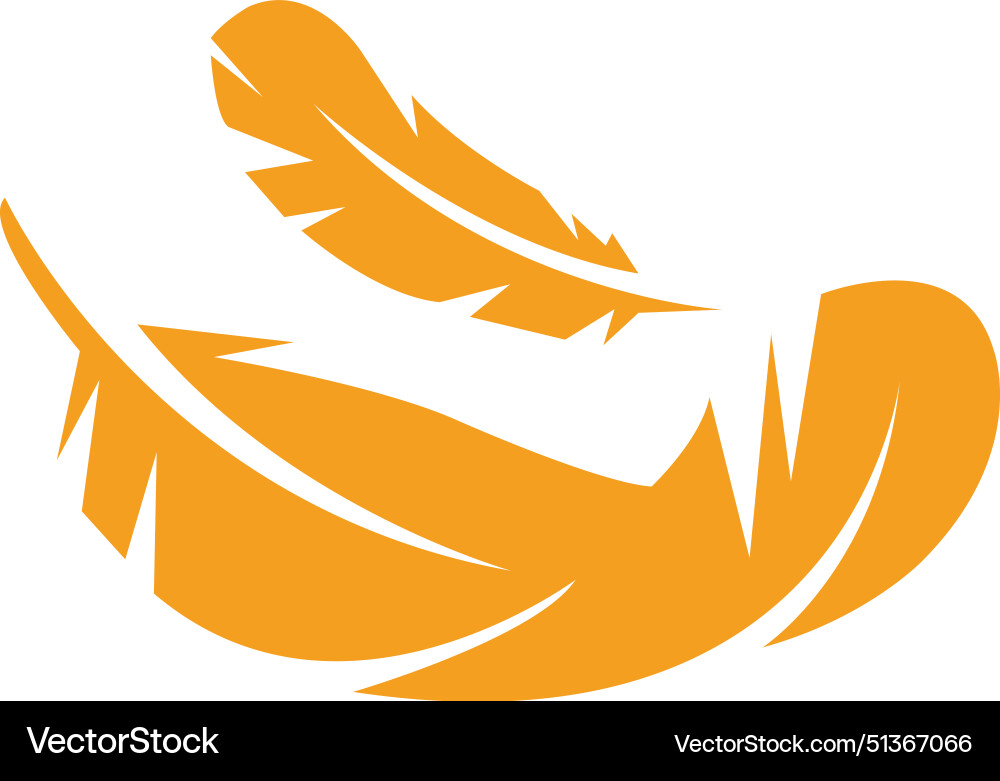 Feather Royalty Free Vector Image - VectorStock