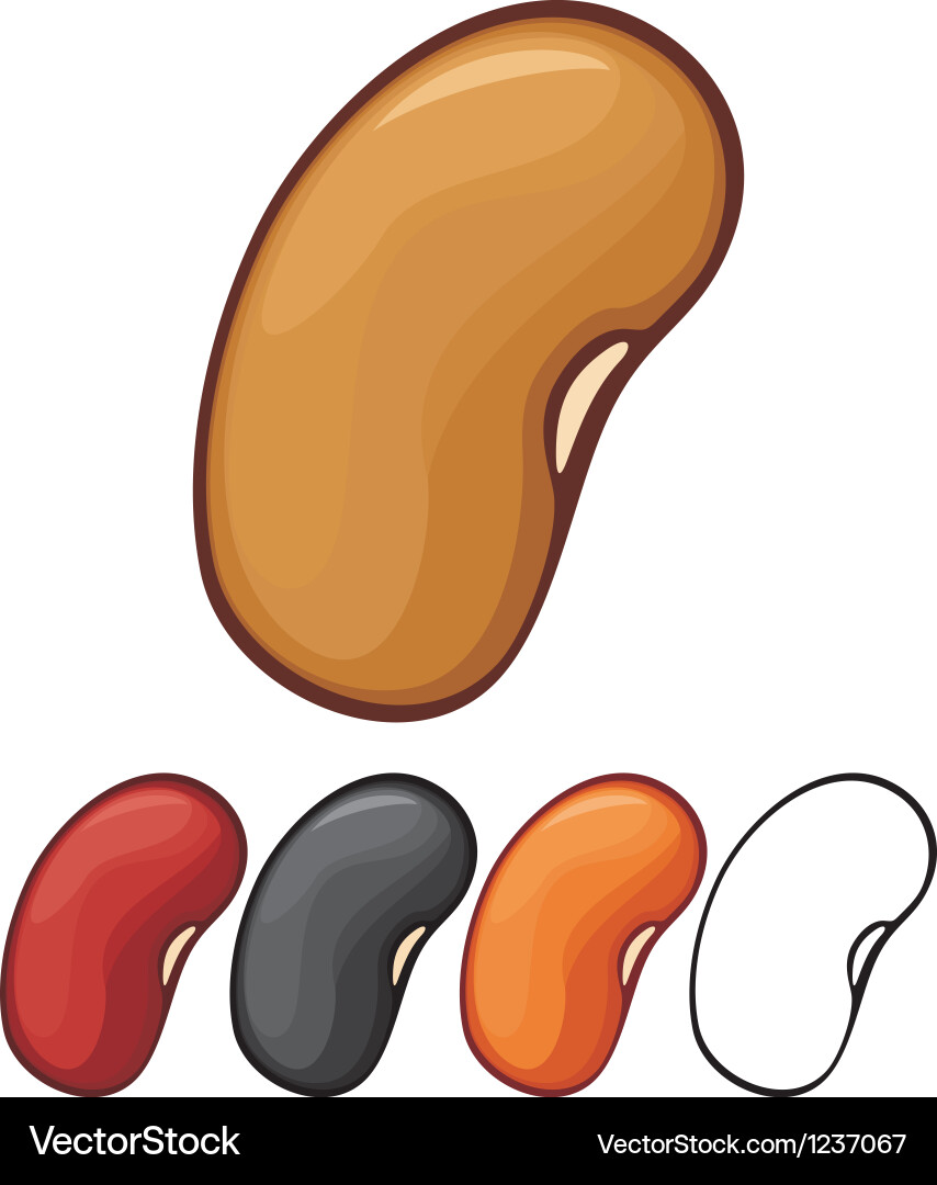 Beans Royalty Free Vector Image - VectorStock
