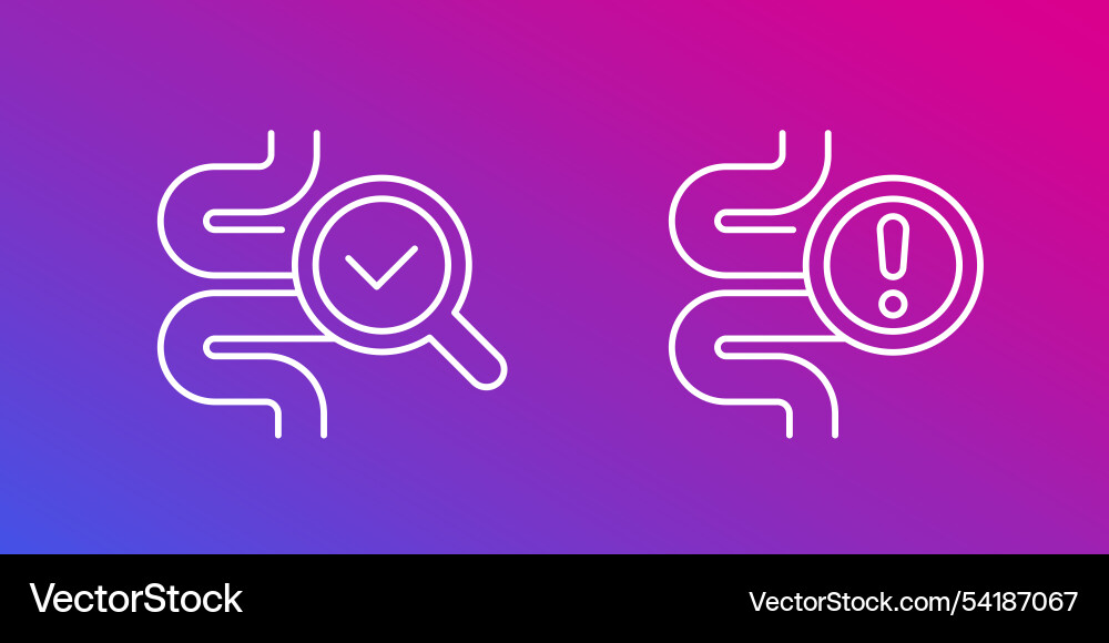Bowel exam line icons Royalty Free Vector Image