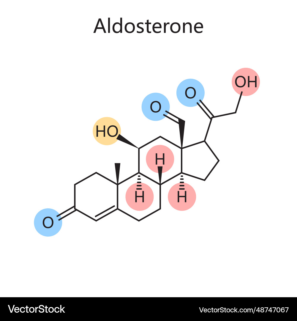 Chemical formula aldosterone diagram science Vector Image