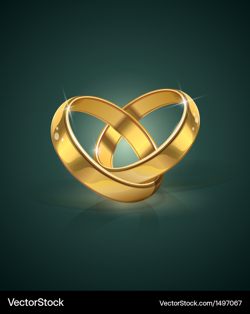 Golden wedding rings Royalty Free Vector Image
