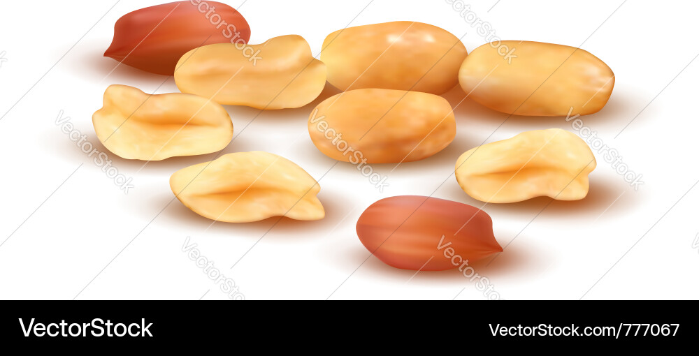 Peanuts Royalty Free Vector Image - VectorStock