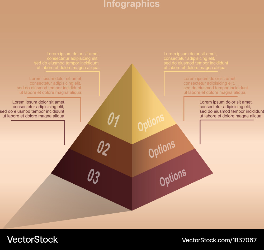 Pyramid Infographic Template Royalty Free Vector Image
