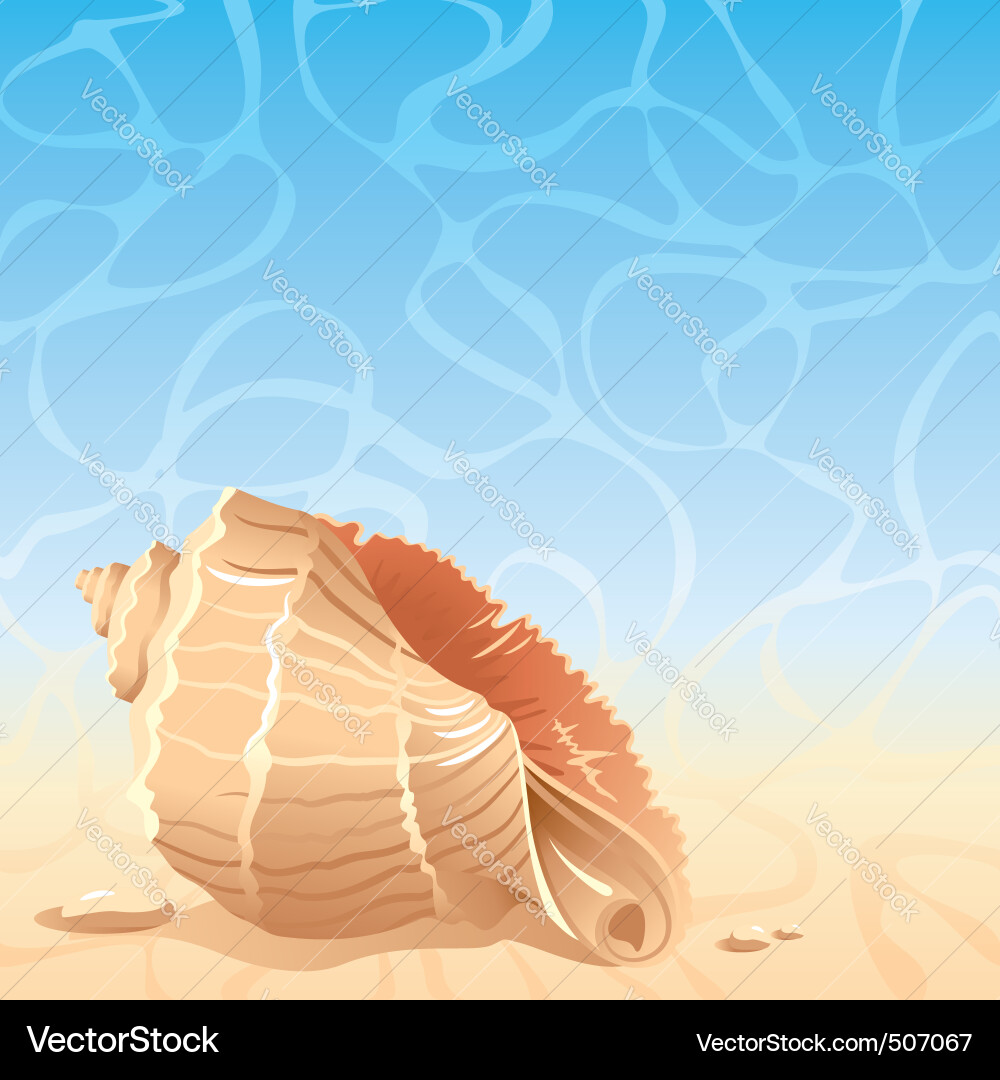 Sea background with shell Royalty Free Vector Image