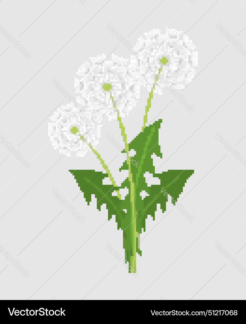 Dandelion pixel art 8 bit blowball flower Vector Image