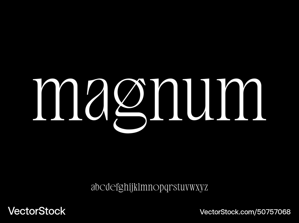 Elegant modern serif alphabet display font Vector Image
