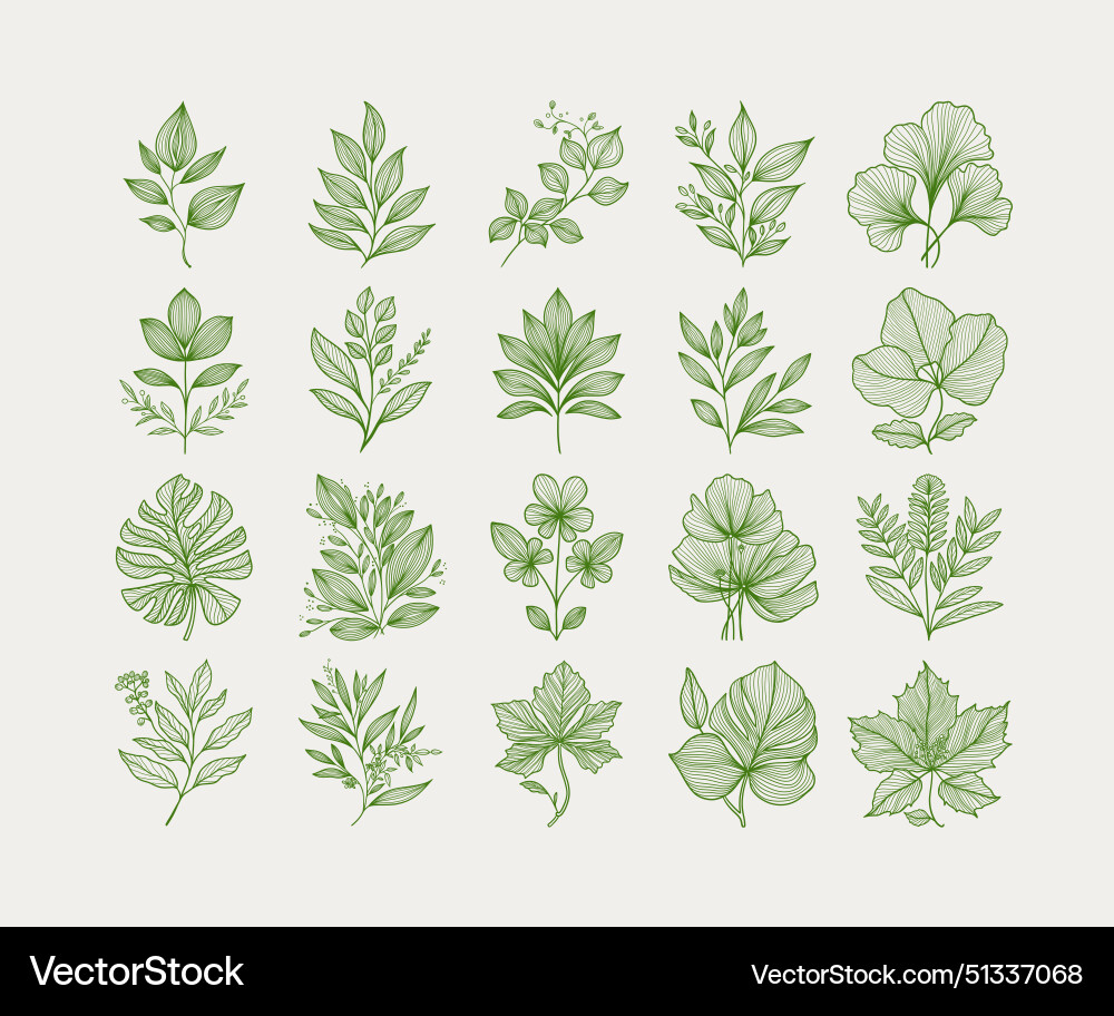 Green botanical clipart collection Royalty Free Vector Image