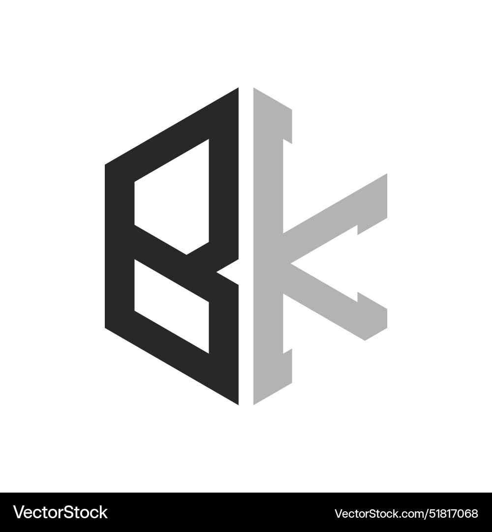 Modern unique hexagon letter bk logo design Vector Image