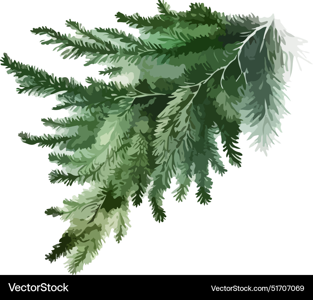 Fir tree clipart isolated Royalty Free Vector Image
