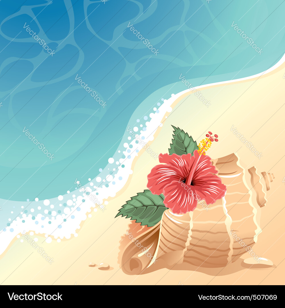 Sea background with shell Royalty Free Vector Image