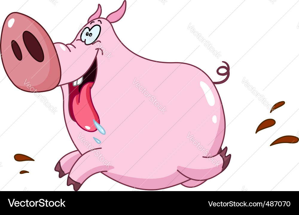 funny pigs running