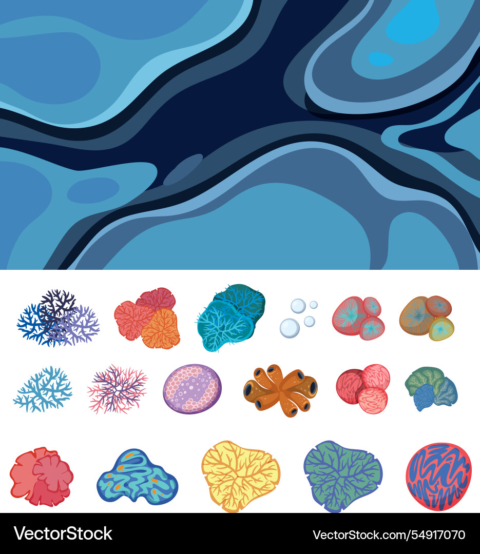 Vibrant corals beneath abstract ocean wave Vector Image