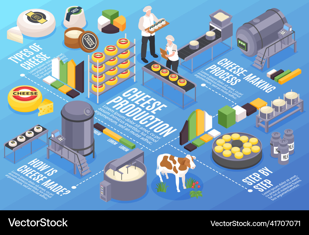 Cheese production infographic composition Vector Image