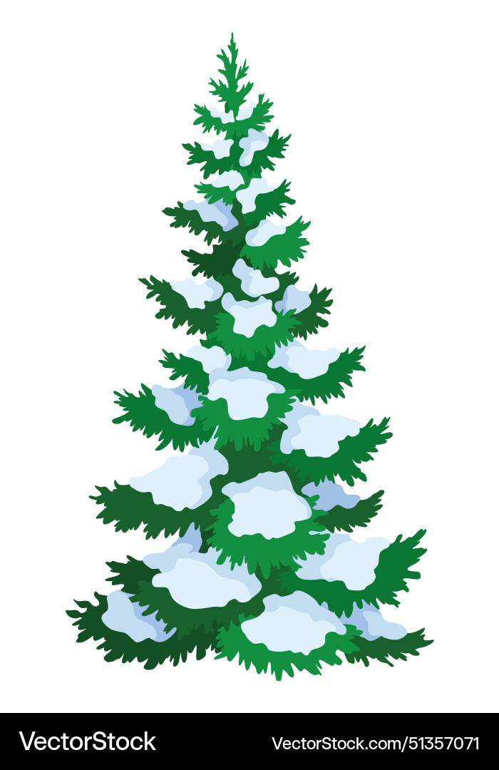 Fir tree with snow winter snow-covered spruce Vector Image