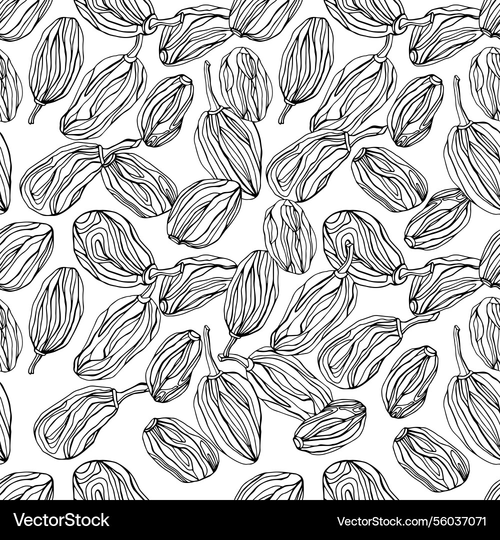 Sketched raisins black and white seamless pattern Vector Image