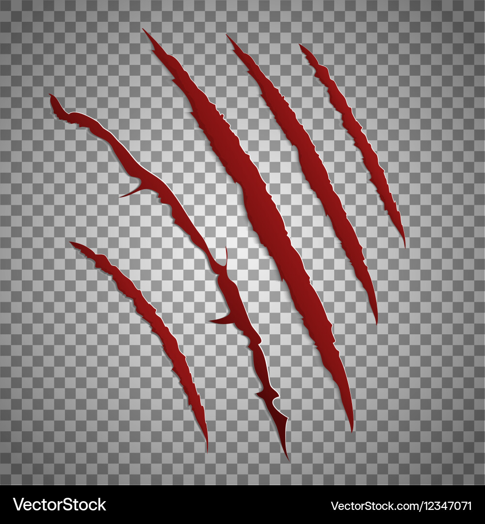 Slash scratch set on transparent background Vector Image