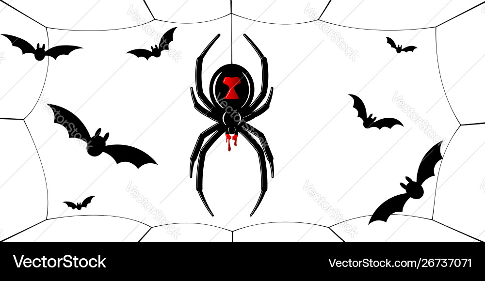 Spider black widow cobweb bats red Royalty Free Vector Image