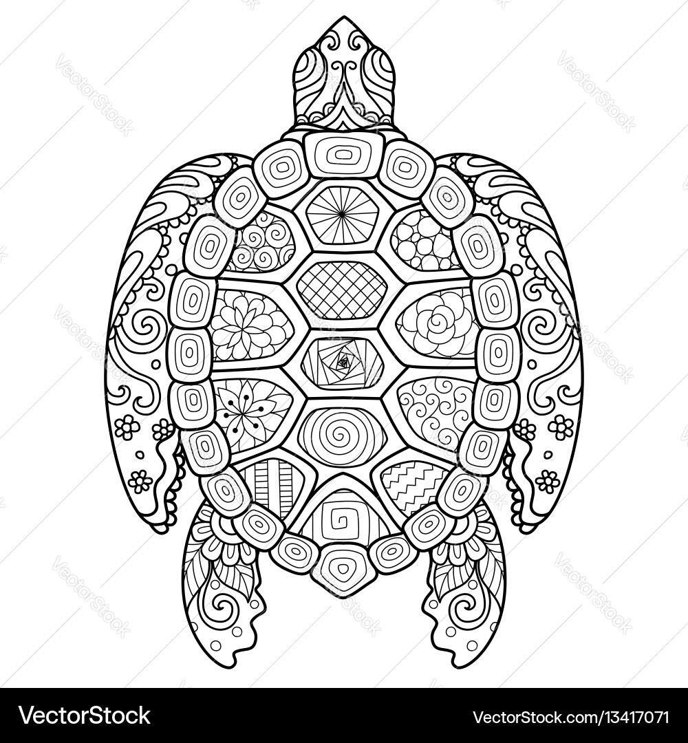 Adult Color Turtle Vector Images (over 210)