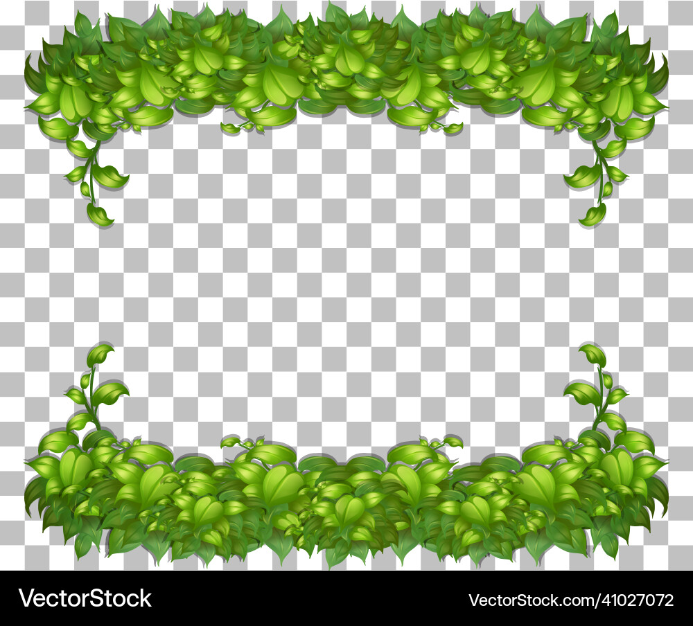 Nature plants frame transparent background Vector Image
