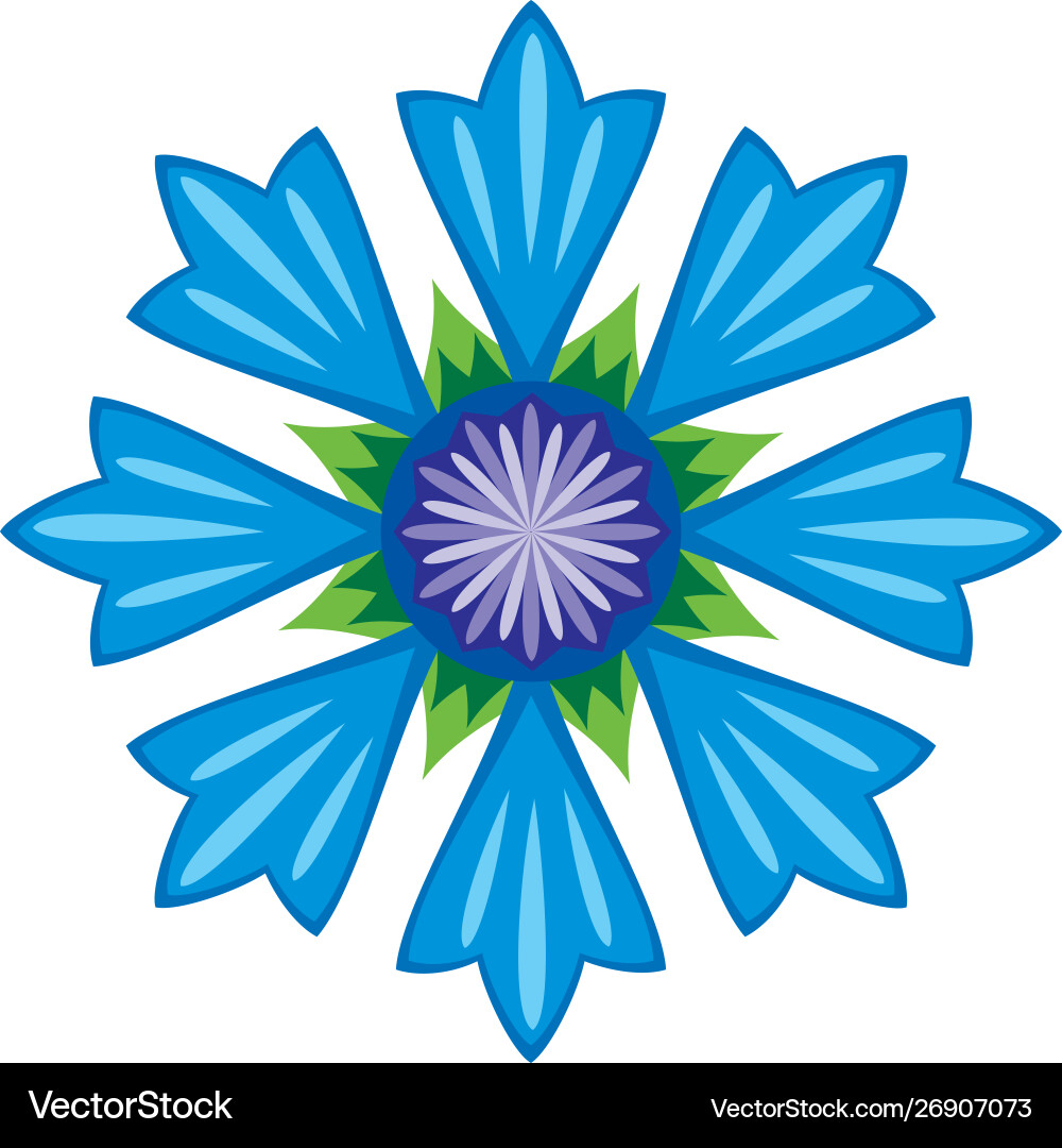 Cornflower Royalty Free Vector Image - VectorStock