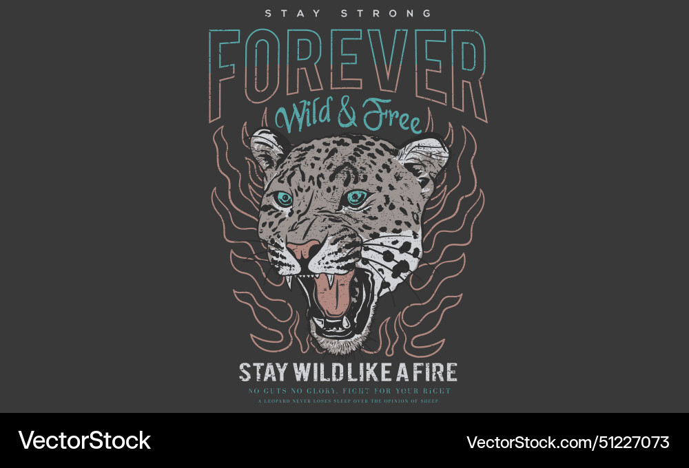 Leopard Face Vector Images (over 4,500)