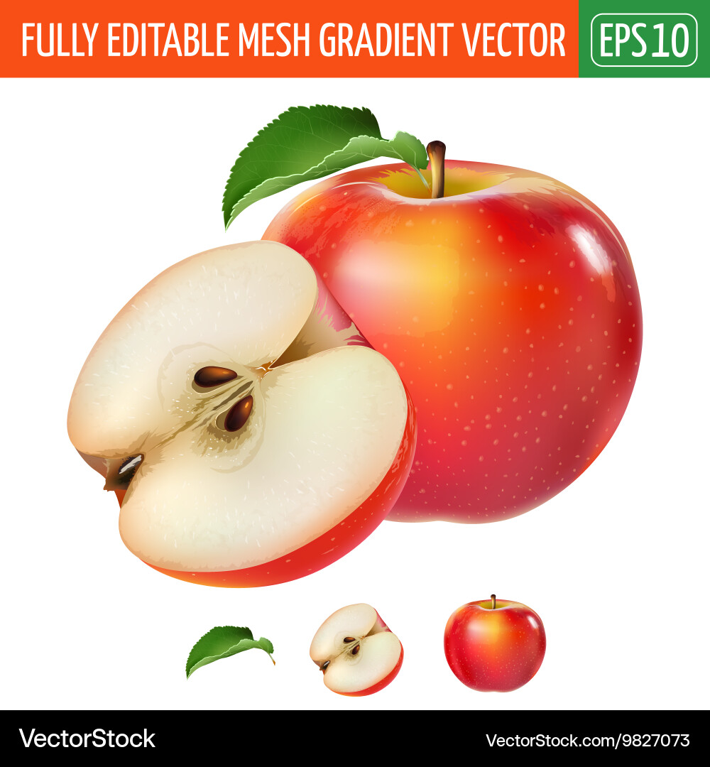 Roter Apfel auf weißem Hintergrund Lizenzfreier Vektor