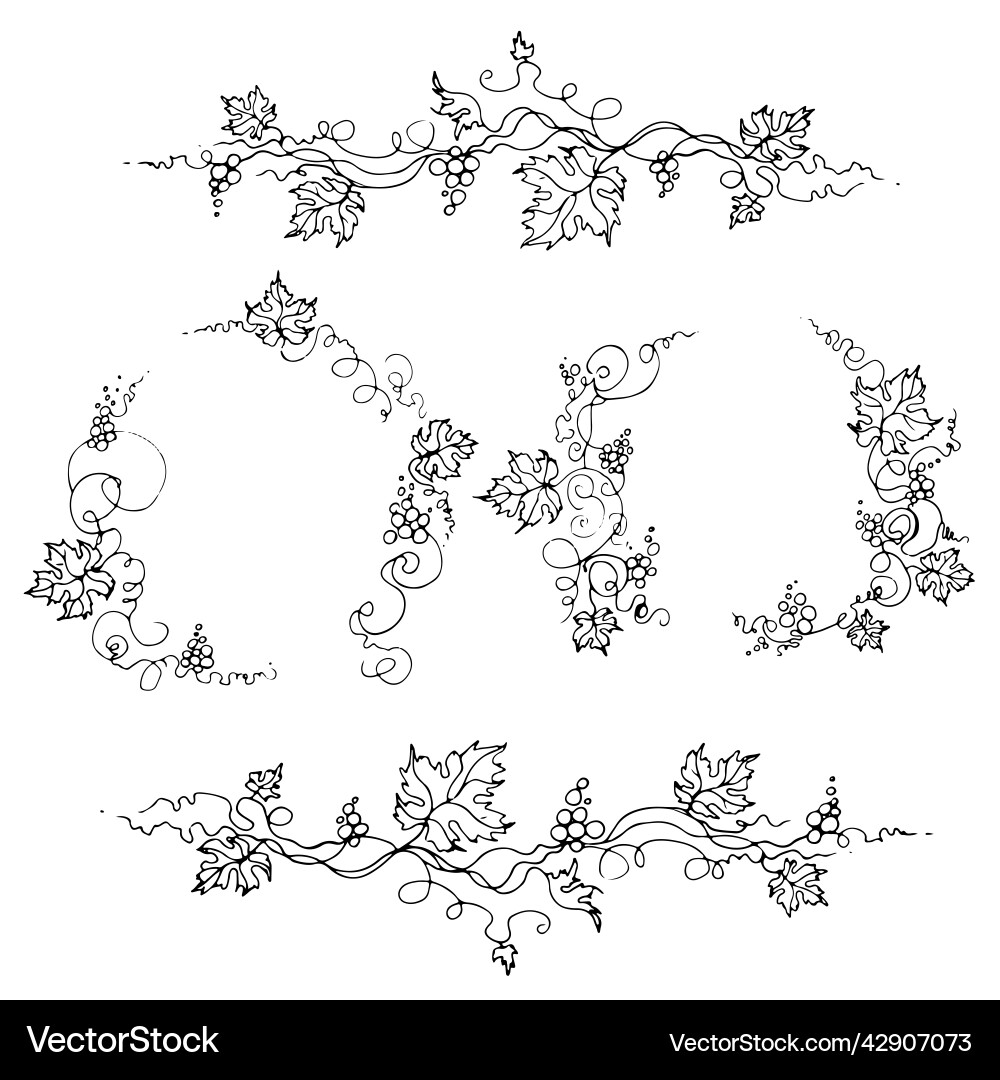 Vine design elements Royalty Free Vector Image