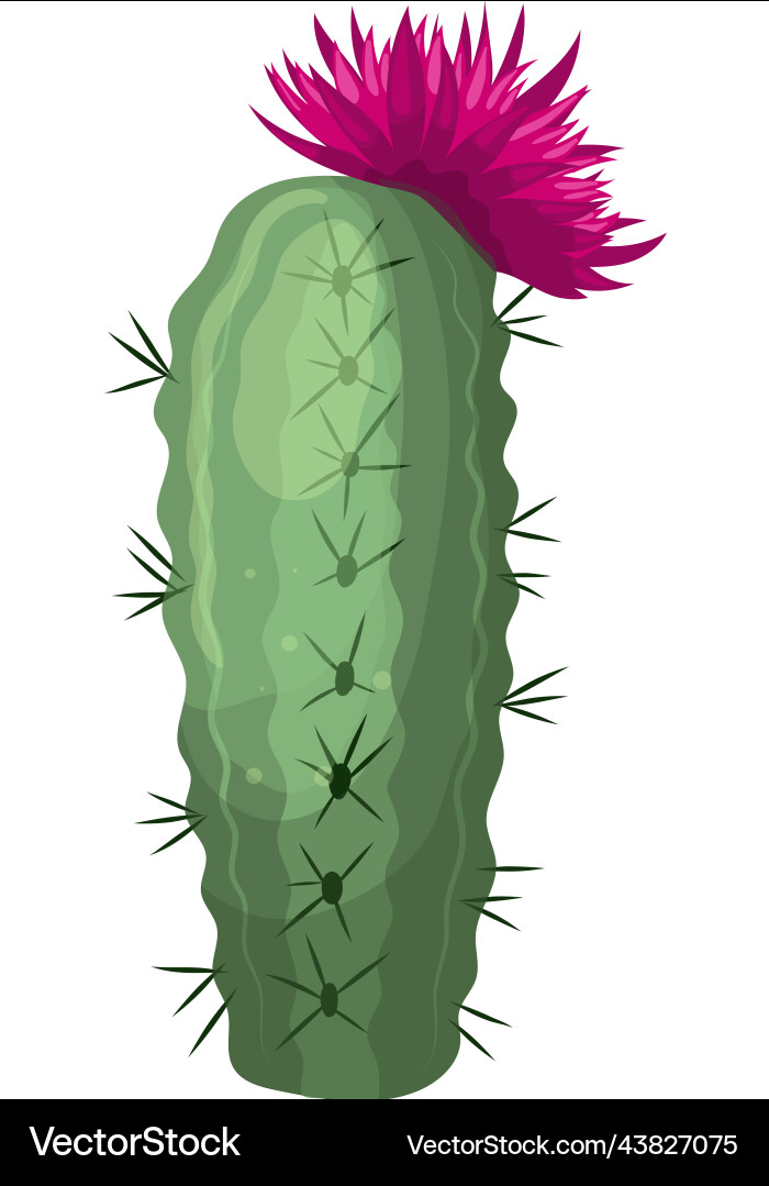 Cactus flower cartoon Royalty Free Vector Image