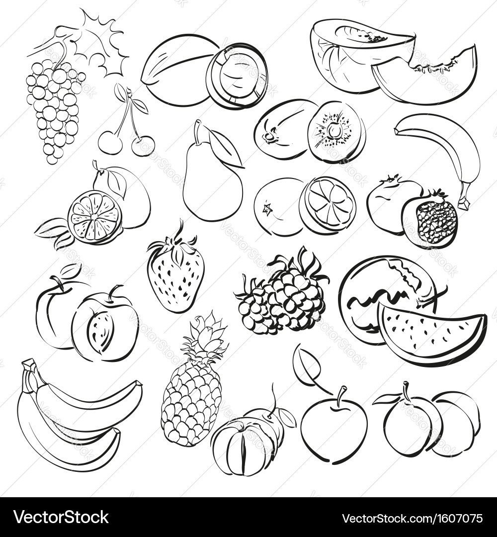 Different fruits set Royalty Free Vector Image
