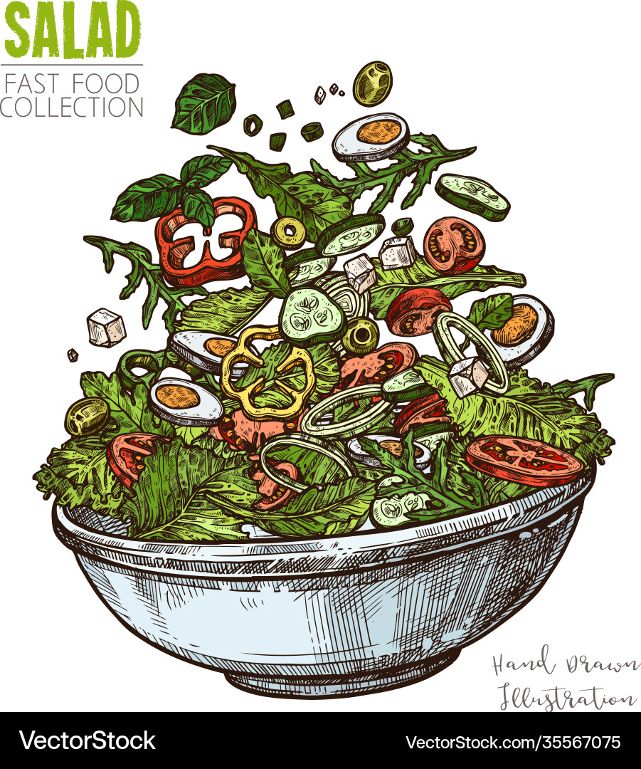 Fresh Egg & Vegetable Salad Royalty Free Vector Image