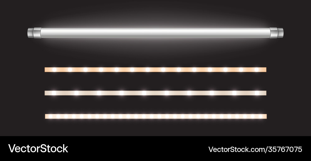 Tube lamp and led strips long fluorescent bulb Vector Image