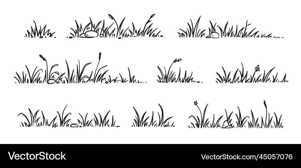Grass doodle sketch style set hand drawn Vector Image